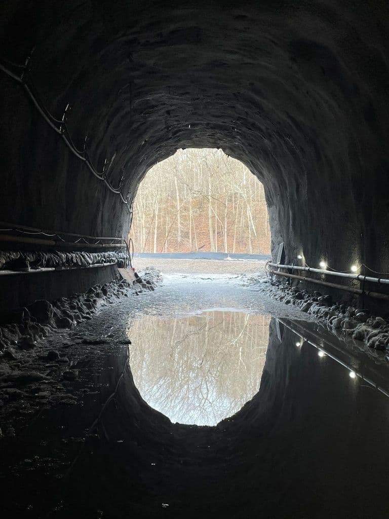 Pini Group USA, Inc.